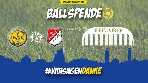 Ballspende gegen den SV Hausach | Baden Ballspende gegen den SV Hausach | Baden